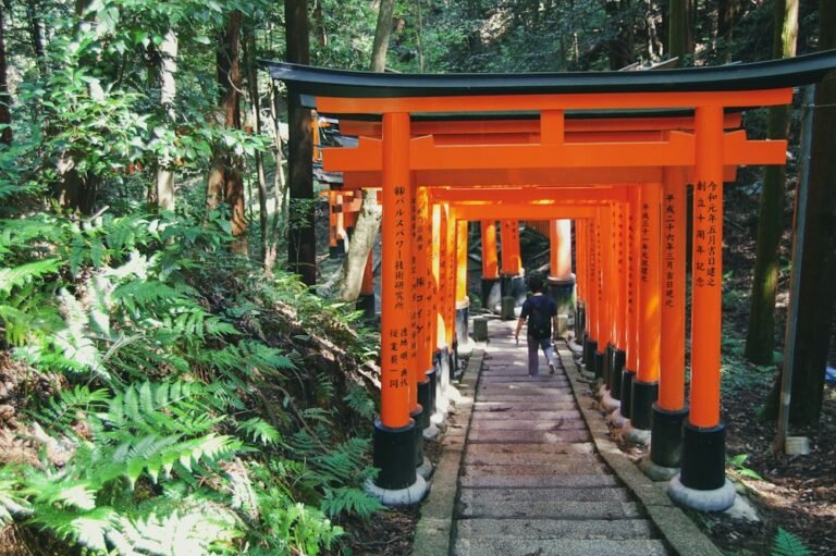 What Is a Torii Gate? - Why So Japan