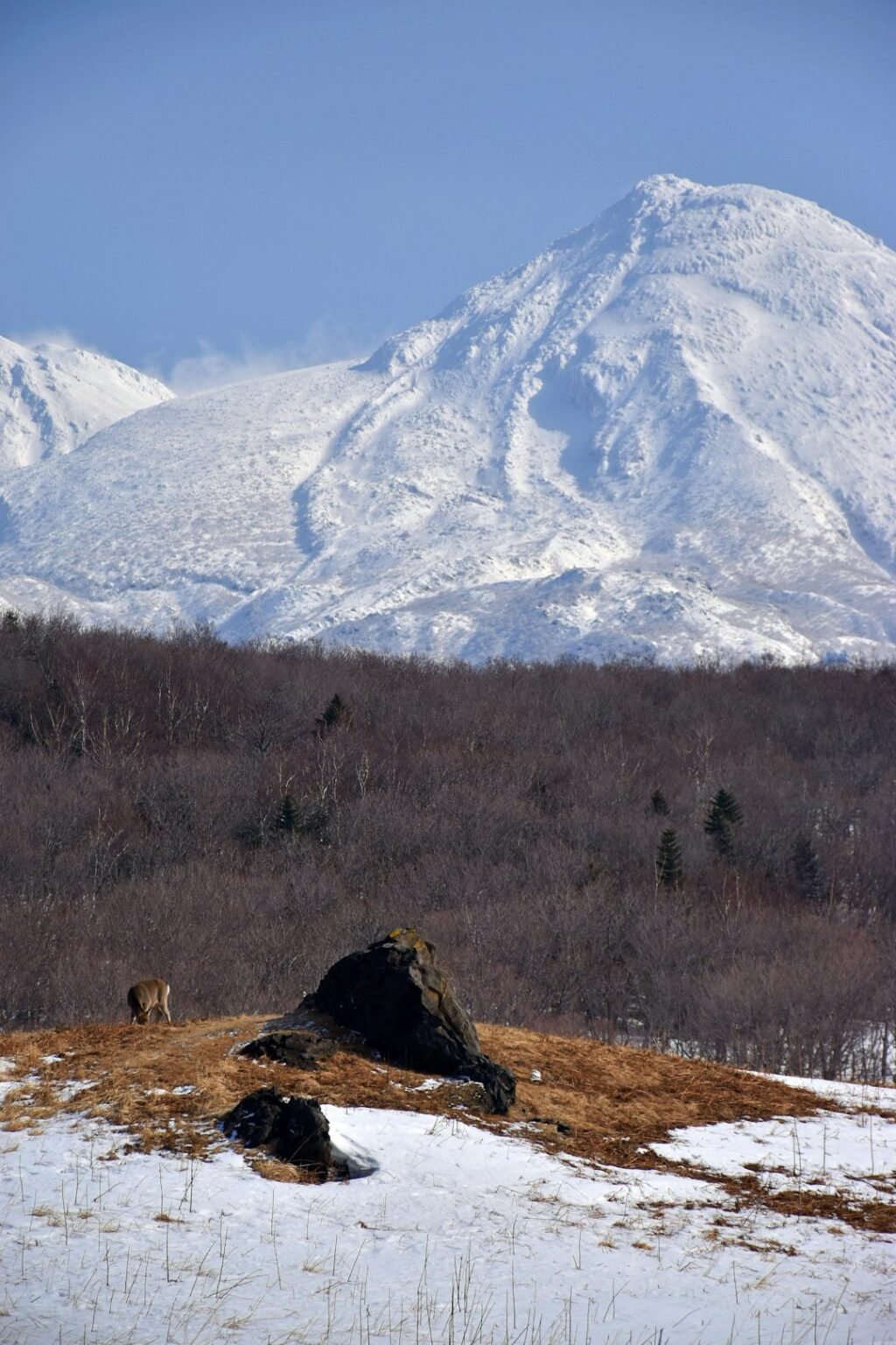 Exploring Japan: Prefecture and Regions of Japan - Why So Japan